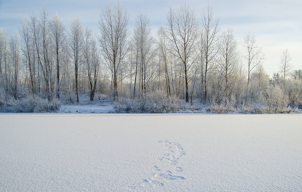 Nou record de temperatură stabilit la Cercul Arctic. Niciodată nu a mai ...
