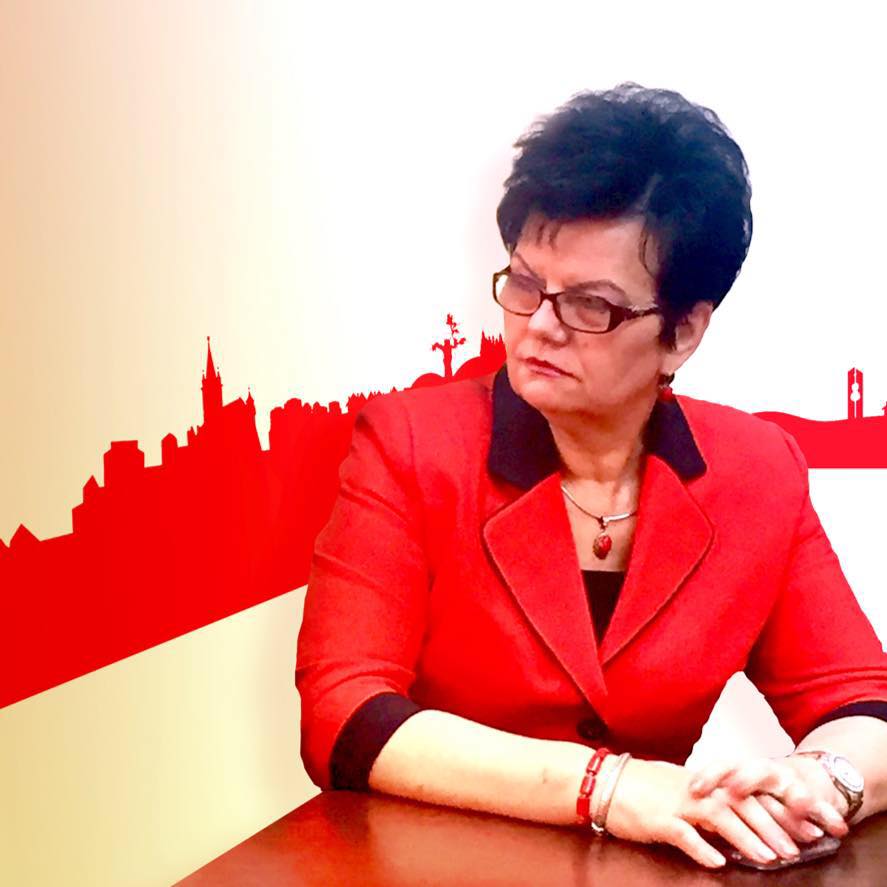 PNL și USR au reușit să blocheze, în instanță, candidatura primarului ...