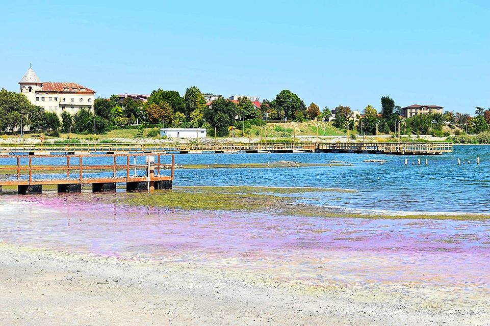 Spectaculos: Apa de la Techirghiol a devenit roz (Video) - spotmedia.ro