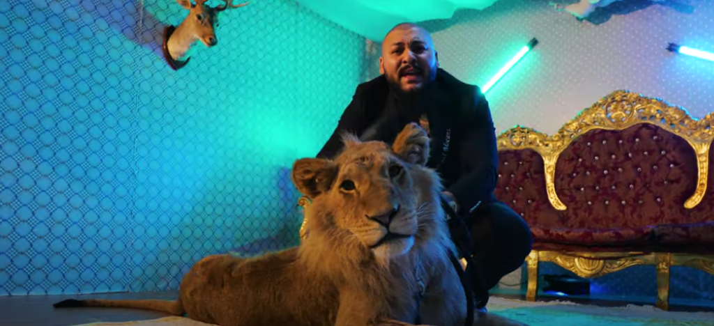 Dani Mocanu și fratele său, condamnați la închisoare pentru tentativă de omor, au fost prinși în ...