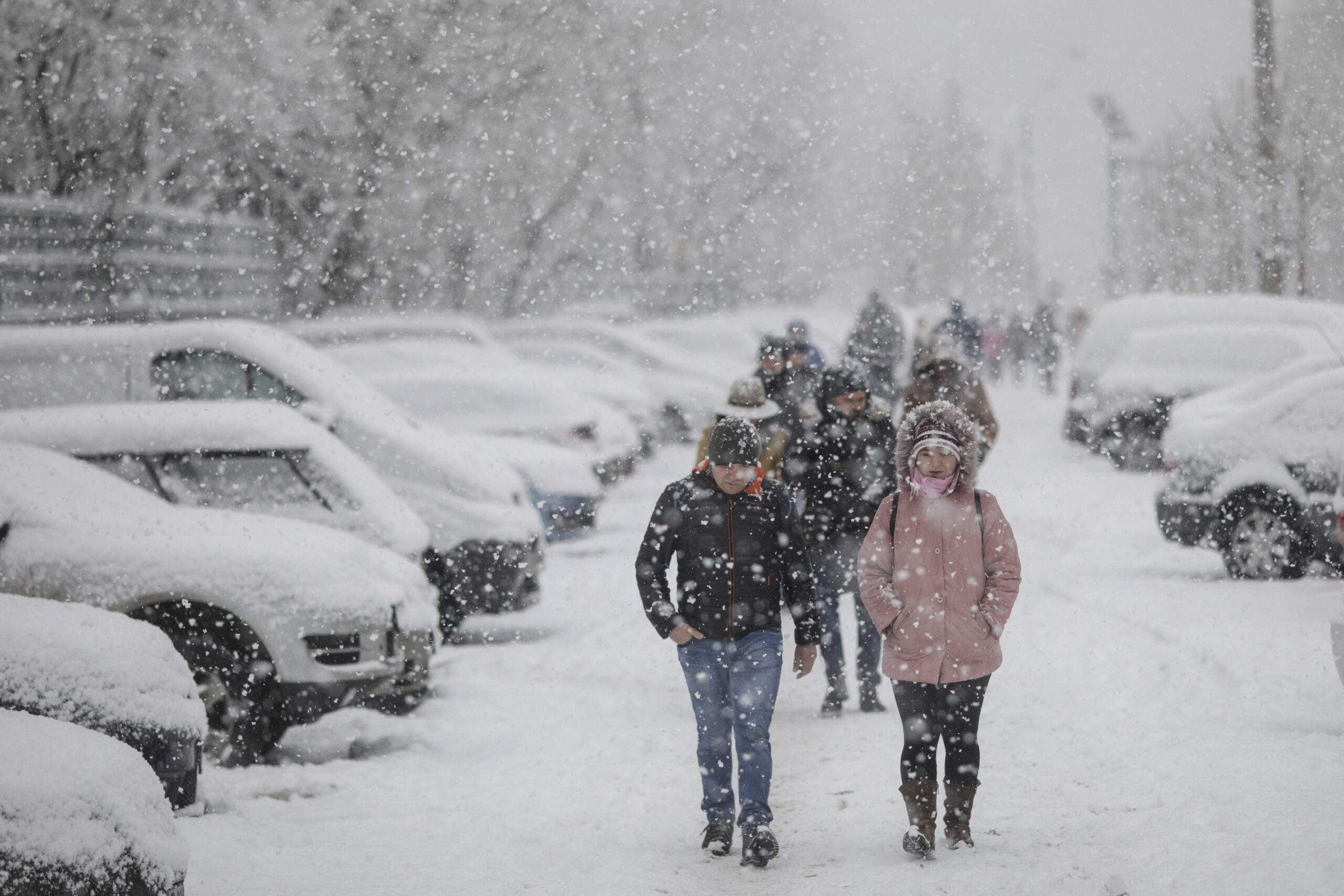 Ninge abundent în zonele montane din centrul țării - spotmedia.ro