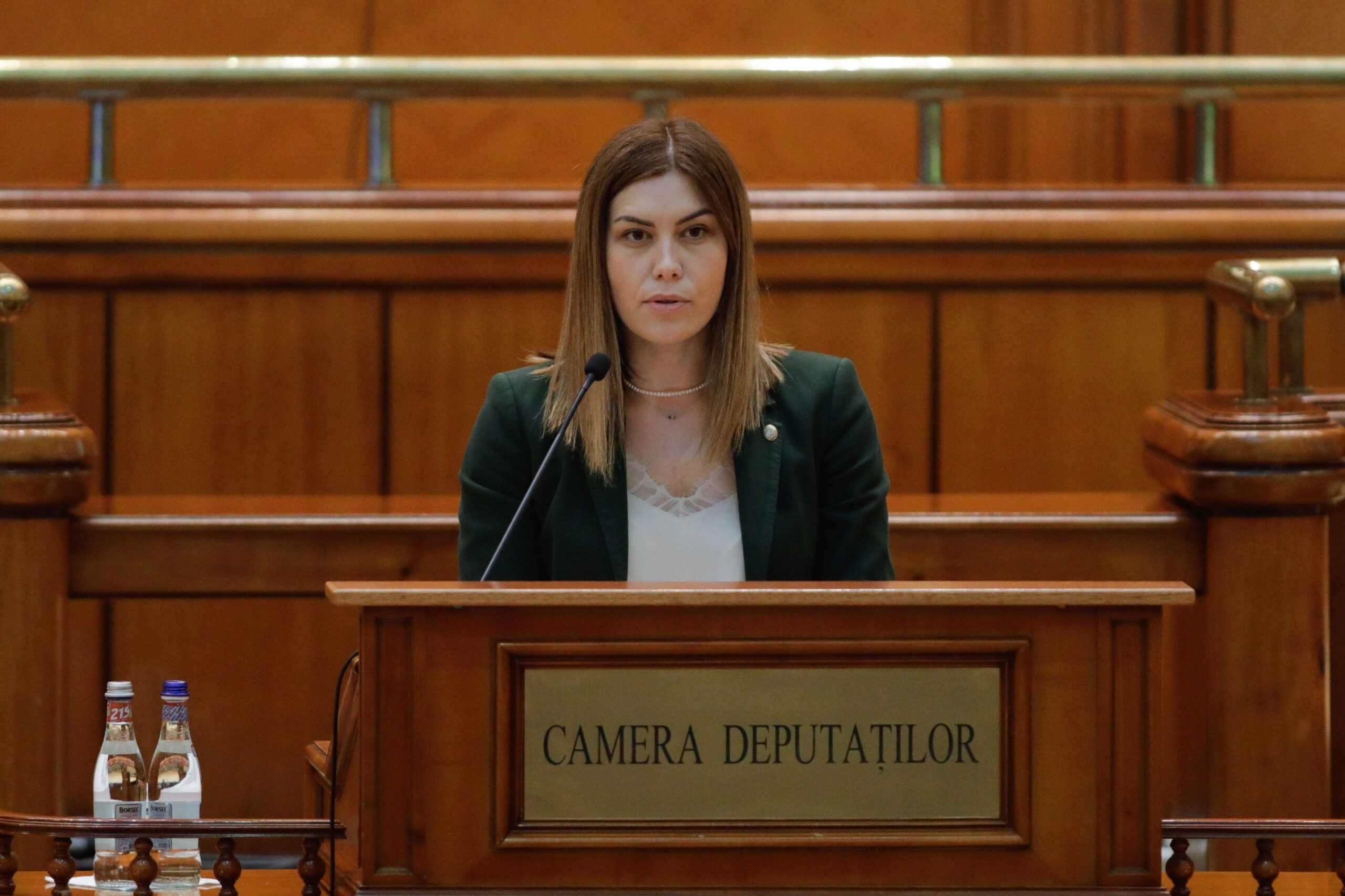 USR o propune pe Cristina Prună ca președinte al Camerei Deputaților ...