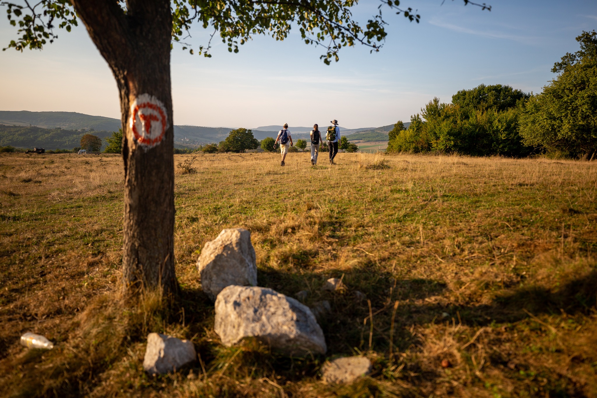 Via Transilvanica, primul traseu de lungă distanţă din România, a fost ...