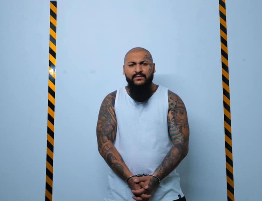 Surse: Dani Mocanu, anchetat de ANAF pentru evaziune de 1,6 milioane de ...