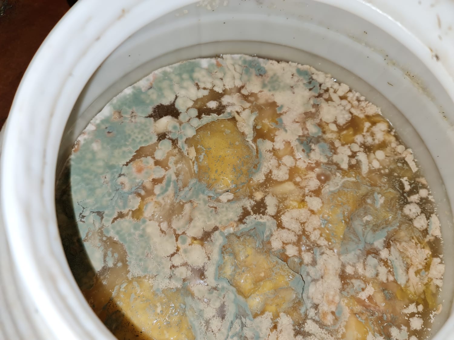 Mâncare cu mucegai și alte pericole pentru copii, într-un afterschool ...