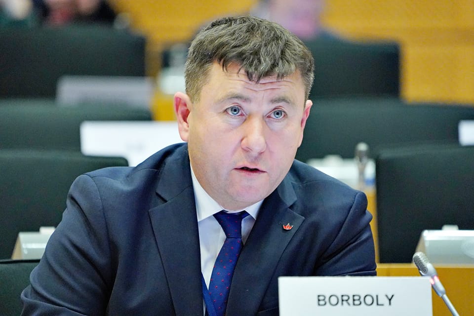 Harghita: Un bărbat a fost atacat de urs în curtea casei. A ajuns la ...