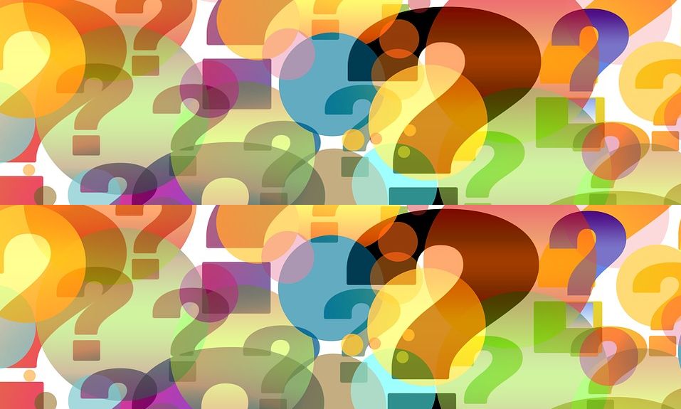 Doar persoanele cu inteligență ridicată pot observa 16 tigri în 21 de ...