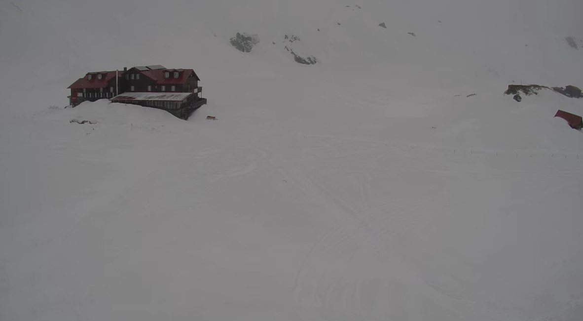 Zăpada mieilor în luna mai: Ninsori abundente la munte și troiene de 2 ...