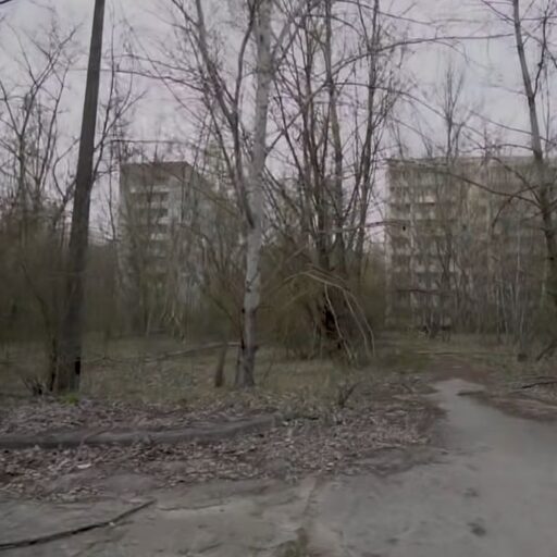 O formă de viață de la Cernobîl pare să fi dezvoltat o abilitate ...