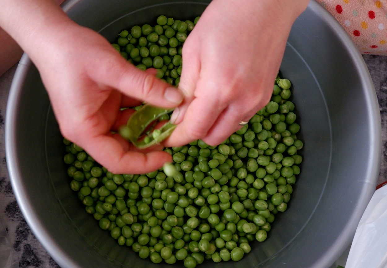 Autoservire pe câmp, ideea unui fermier din Arad: Clienții adună ...