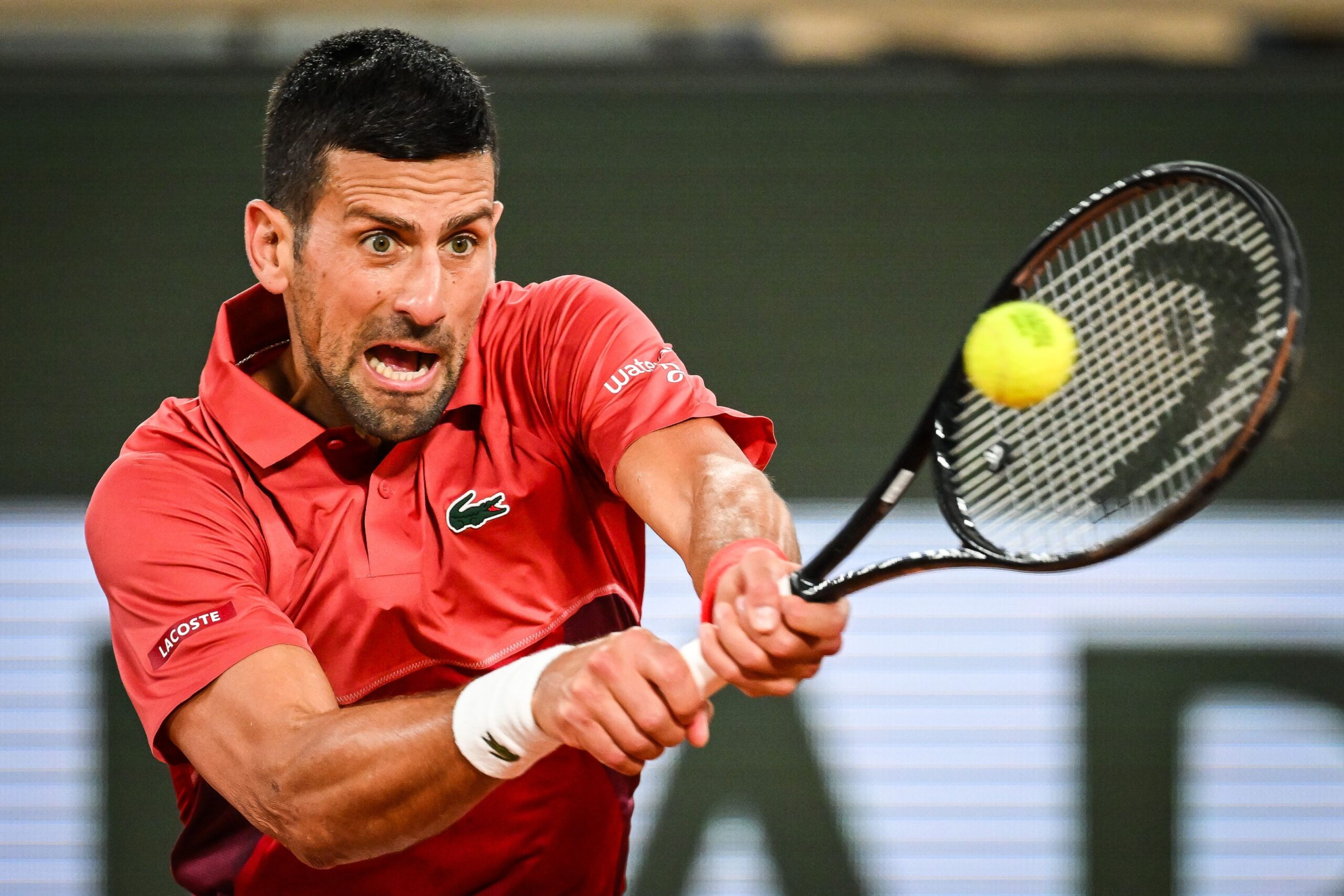 Novak Djokovic anunță turneul la care face "încălzirea" pentru Australian Open 2025 - spotmedia.ro