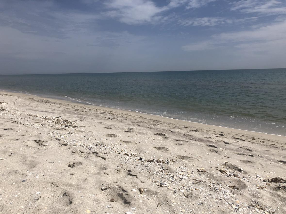 71 de sectoare de plajă de pe litoral vor fi închiriate pe 10 ani ...