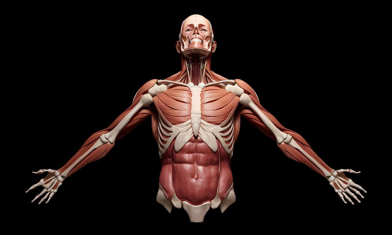 Tendoanele, stimulate electric, ca să fie sănătoase? - spotmedia.ro