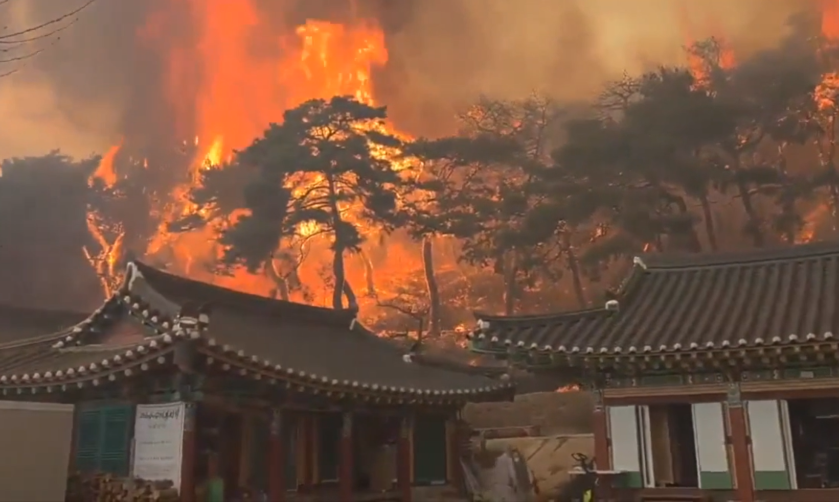 Cel mai mare incendiu din istoria Coreei de Sud, provocat de un bărbat ...