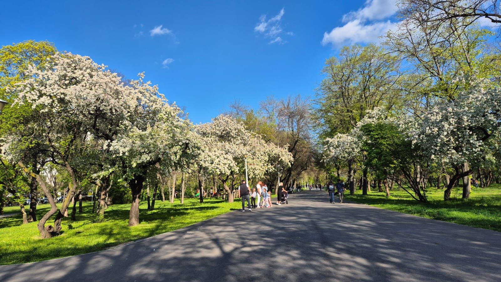 Paște cu vreme caldă, dar instabilă. Posibile ploi scurte în noaptea de ...