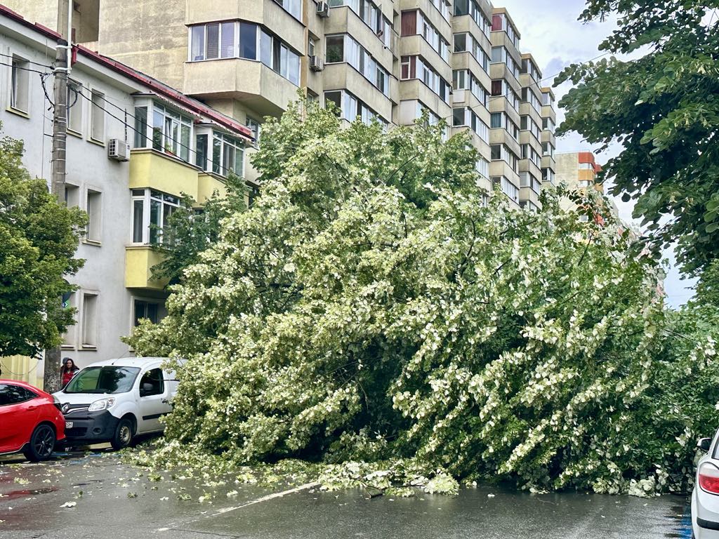 Străzi inundate în București. Un copac uriaș a căzut și a blocat ...