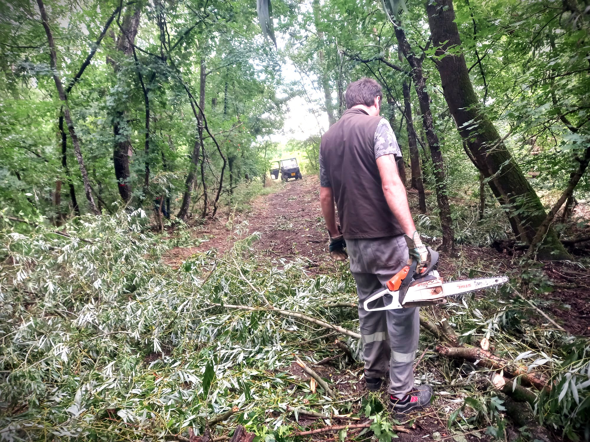 Diana Buzoianu: Reforma Romsilva va pune capăt „huzurului”. Regia are un hotel de 4 stele în ...