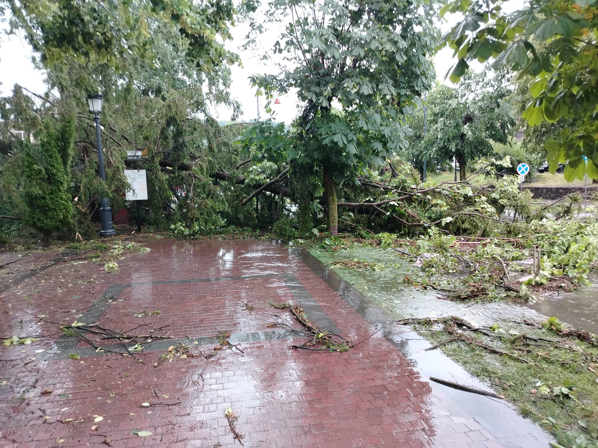 "Sfârșitul lumii în Sinaia". DN1 și calea ferată, blocate de copaci căzuți. Acoperișul gării a ...