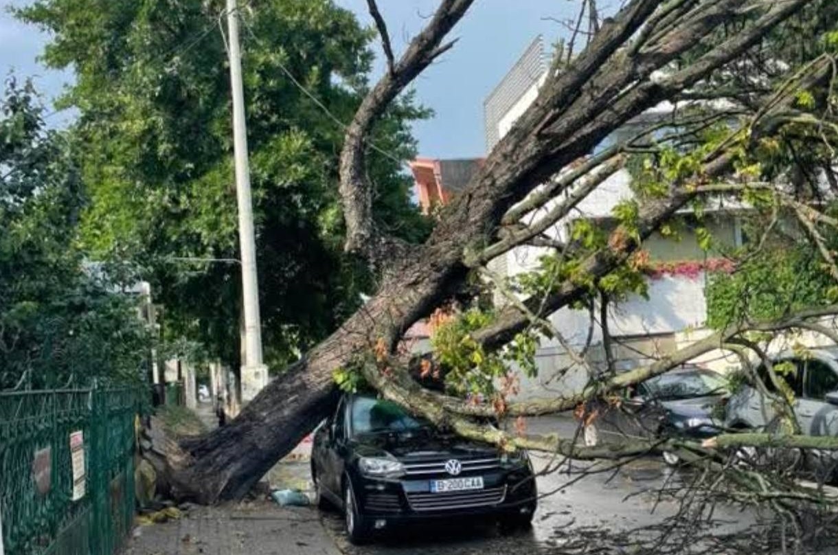 Furtună în Capitală și în mai multe județe: O femeie a murit. Doi ...