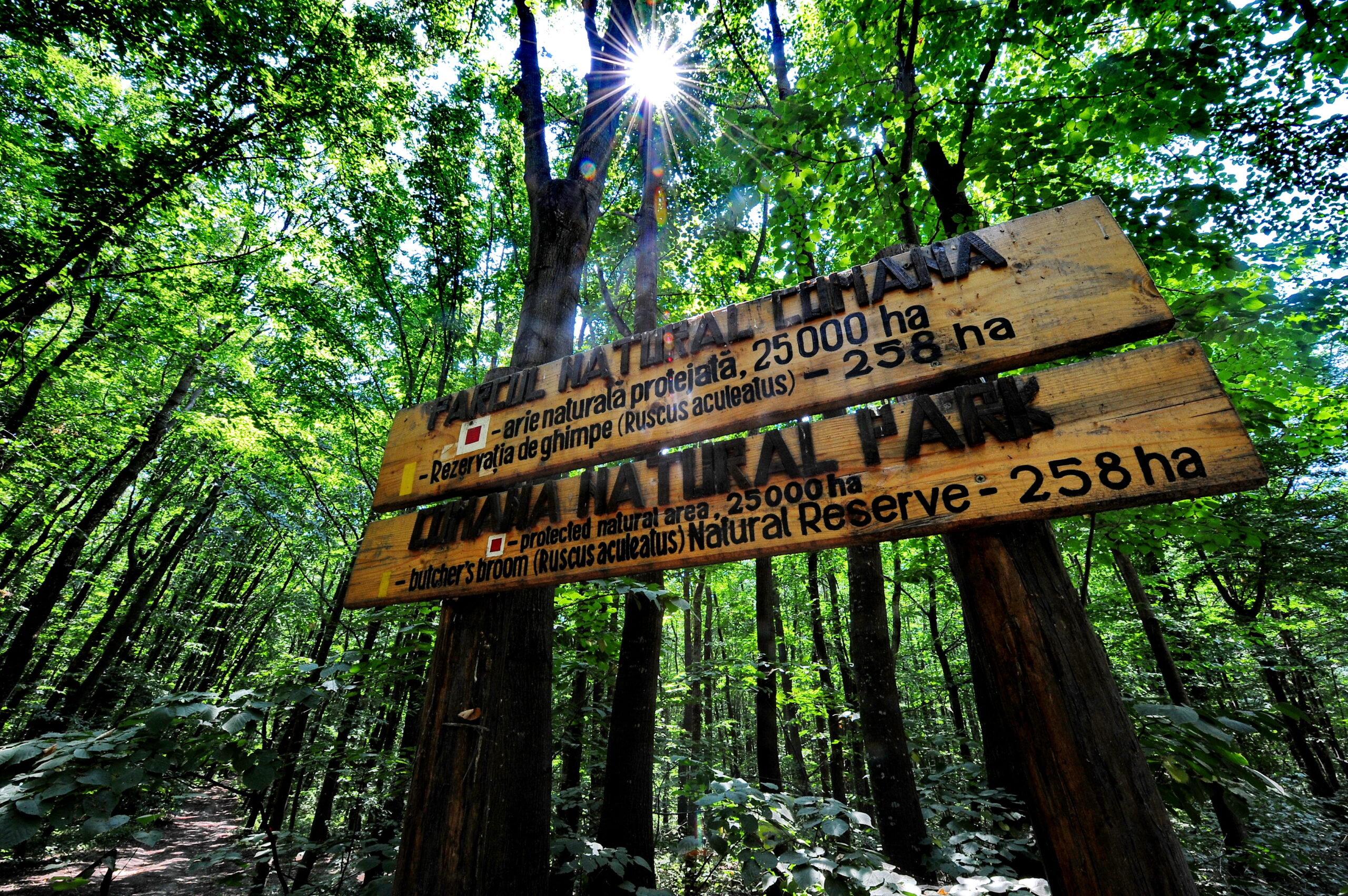 Trail run - MTB cu sens într-un parc natural protejat - spotmedia.ro