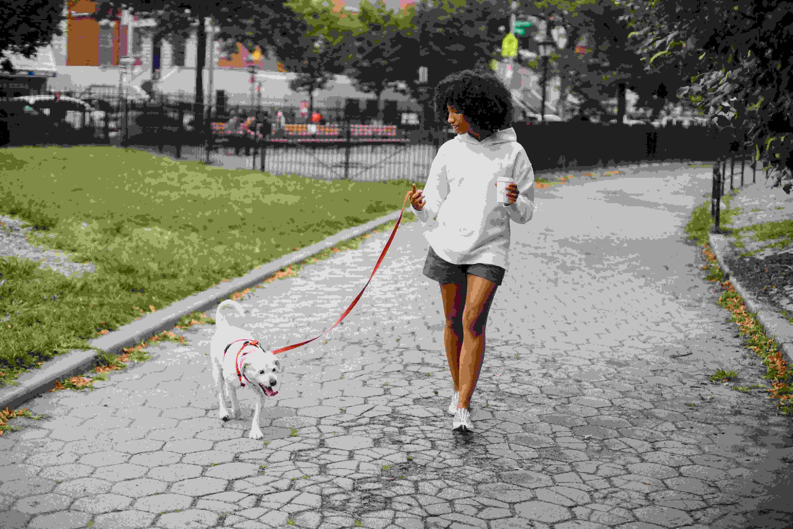 Ce este Zona zero, un nou concept ce ține de mișcare. Probabil și tu îl ...