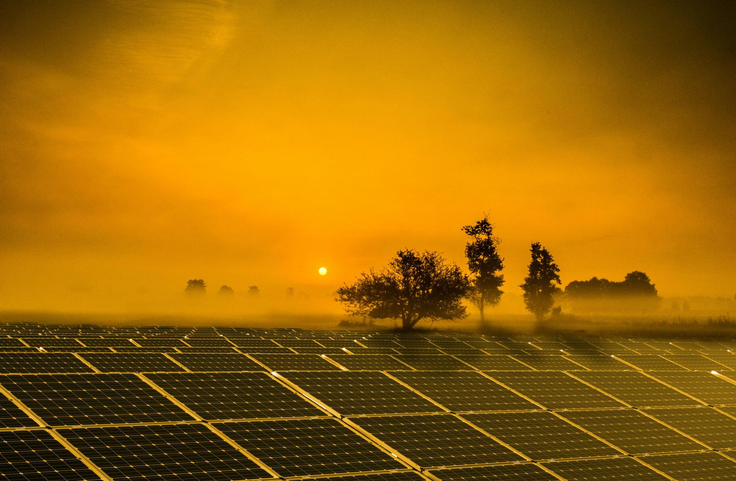 Historic shift in the US: solar power overtakes coal in electricity ...